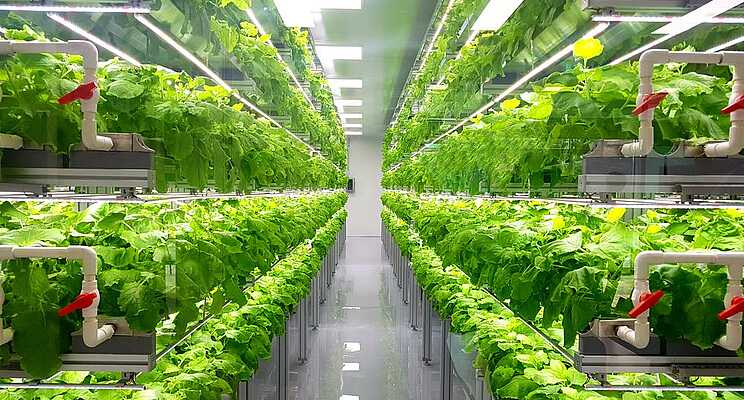 La plus grande ferme couverte à construire