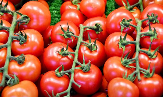 Des prix records des tomates en Europe