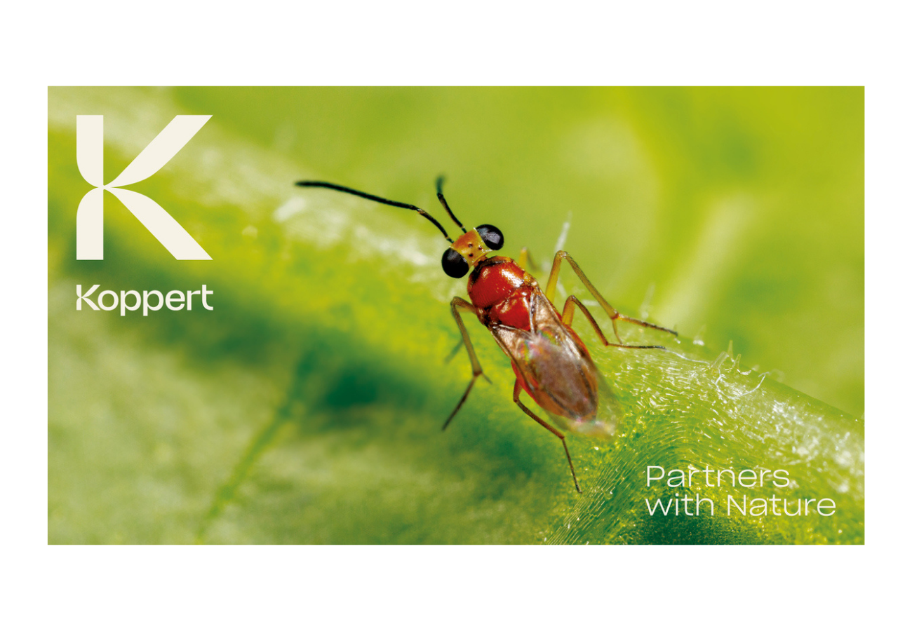 Koppert dévoile sa nouvelle identité visuelle