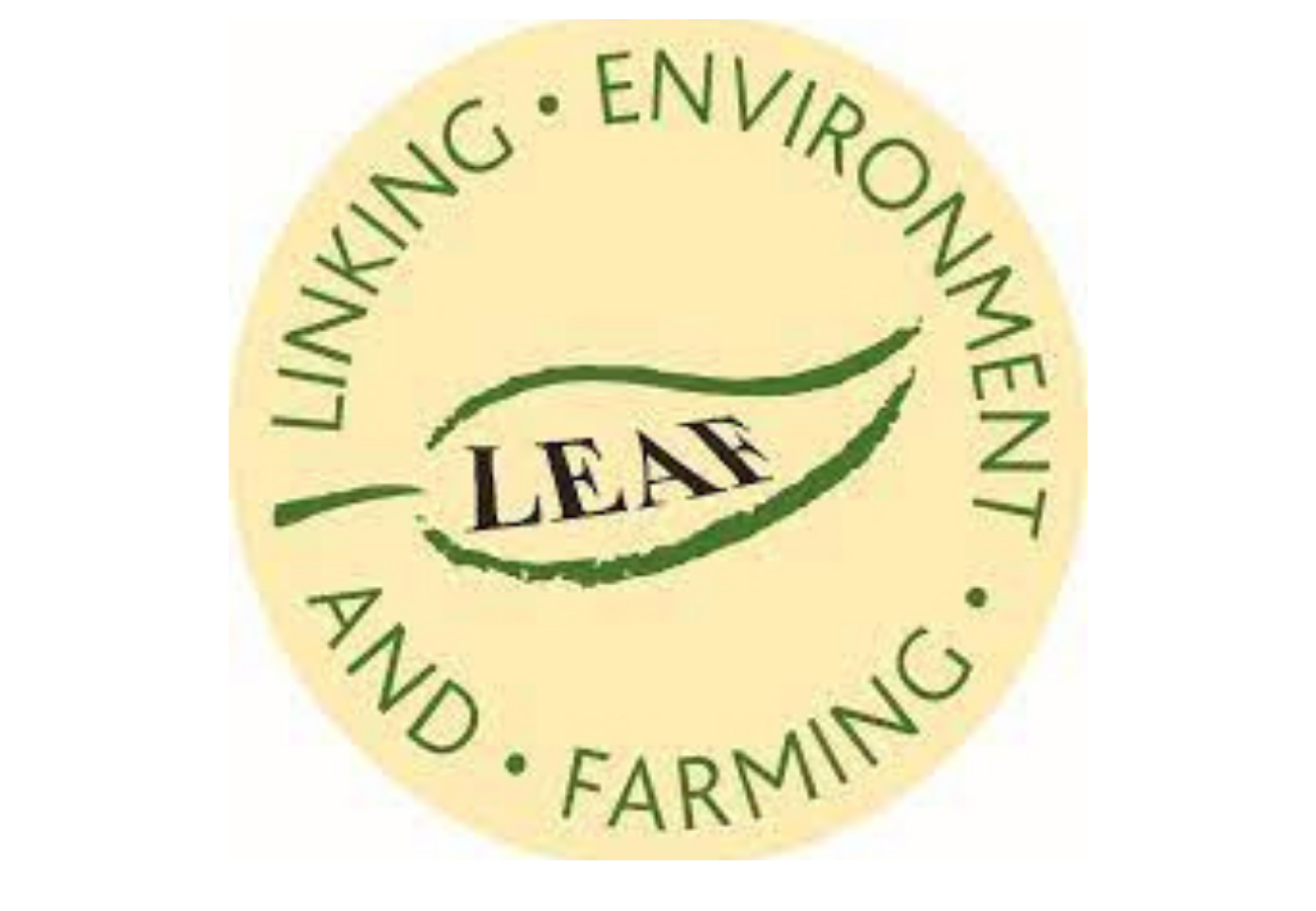 LEAF invite le secteur à participer à l'élaboration de l'avenir de la ...