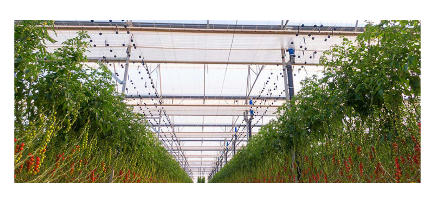 Augmenter les rendements de 20 % grâce à la technologie de serre Novagric