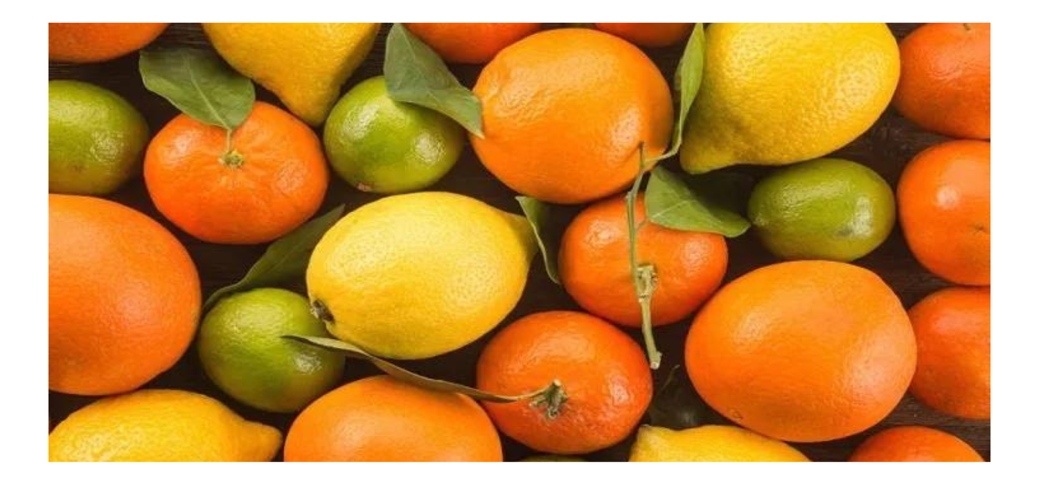 Hort Innovation investit dans le développement de nouvelles variétés d ...