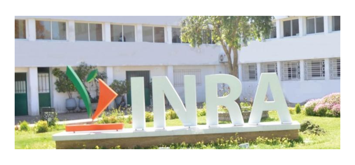 L'INRA s'associe à l'institut israélien Volcani pour développer la ...