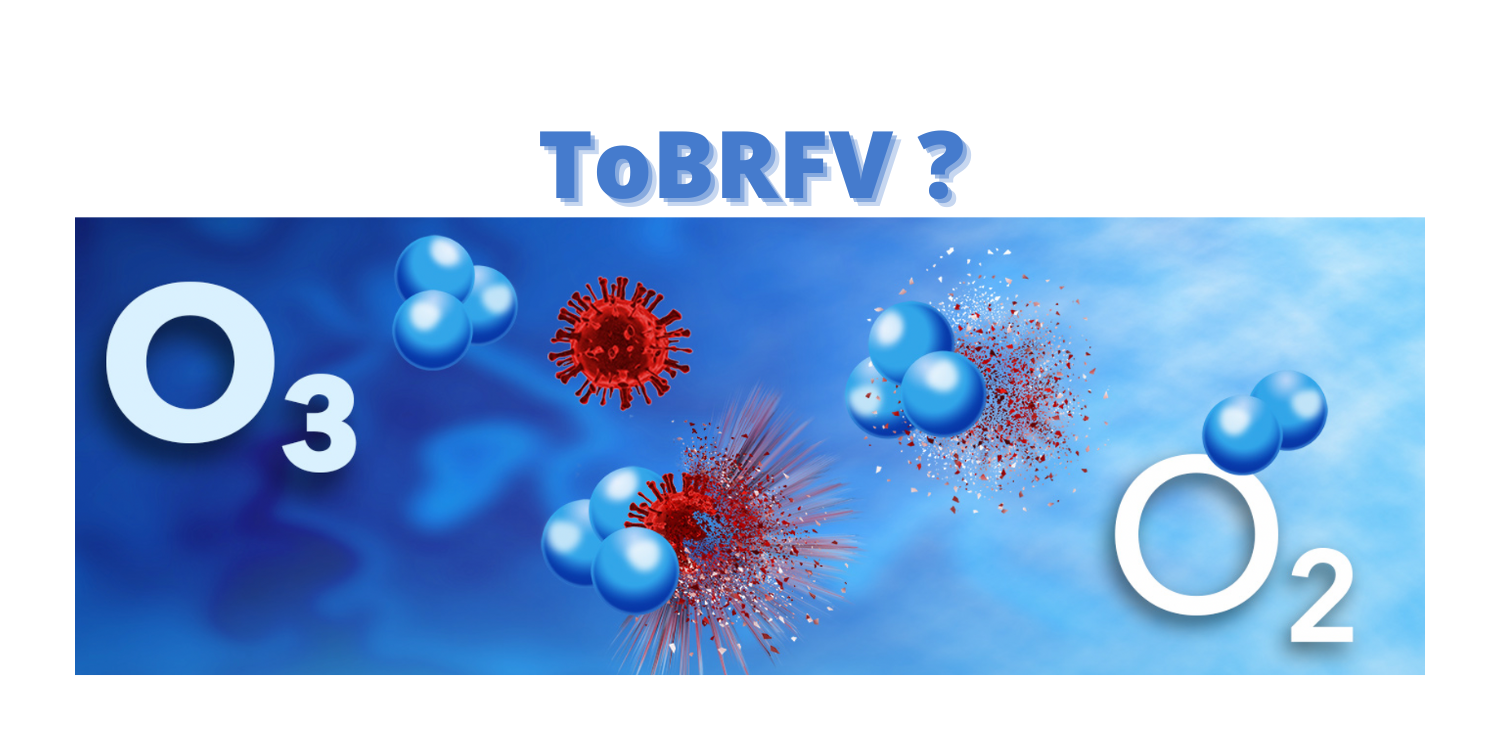 L'ozone est-il efficace contre le ToBRFV